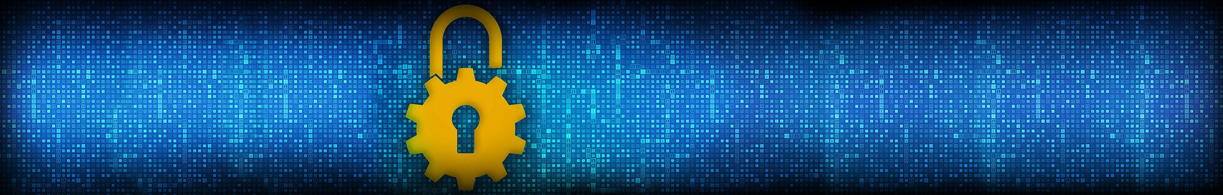 Managed Security Provider - Sun Management